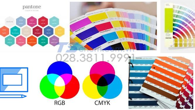 PANTONE là gì? & Tìm hiểu chi tiết về bảng màu PANTONE